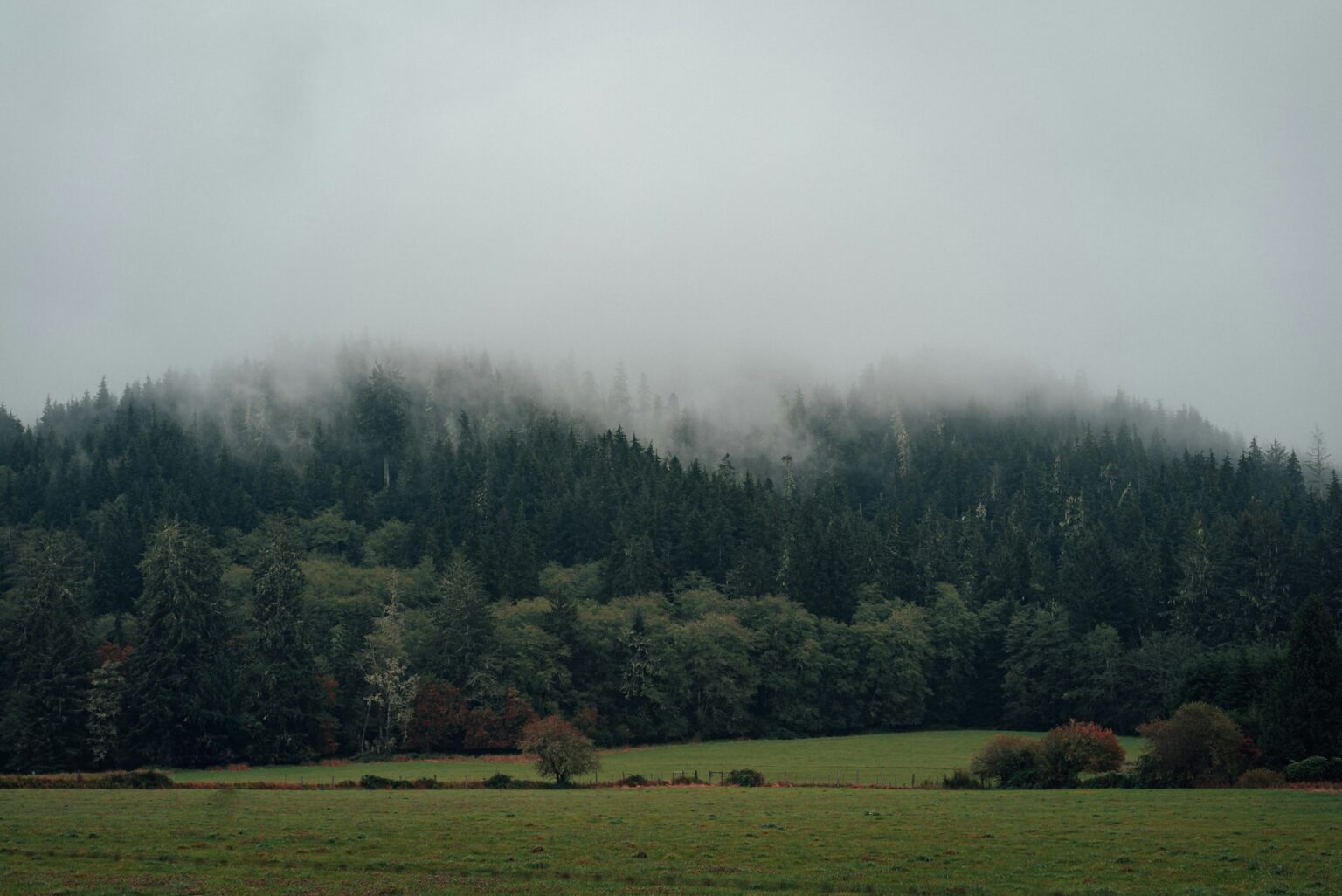 Mount Hunger | Pangyrus